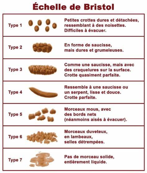 Section 14 - CuisineMed